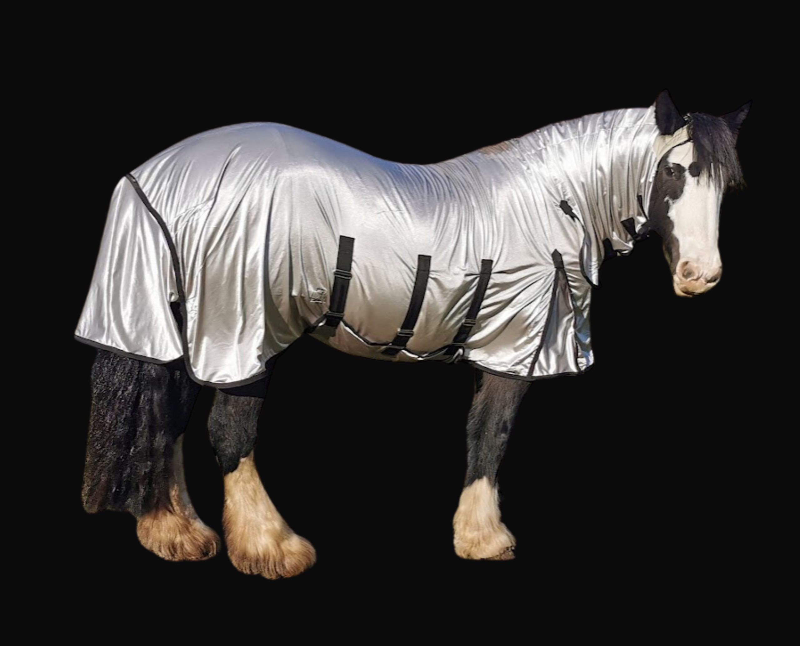 Silver Silky Sweet Itch/Fly rug – Sweet Itch & Fly Rugs